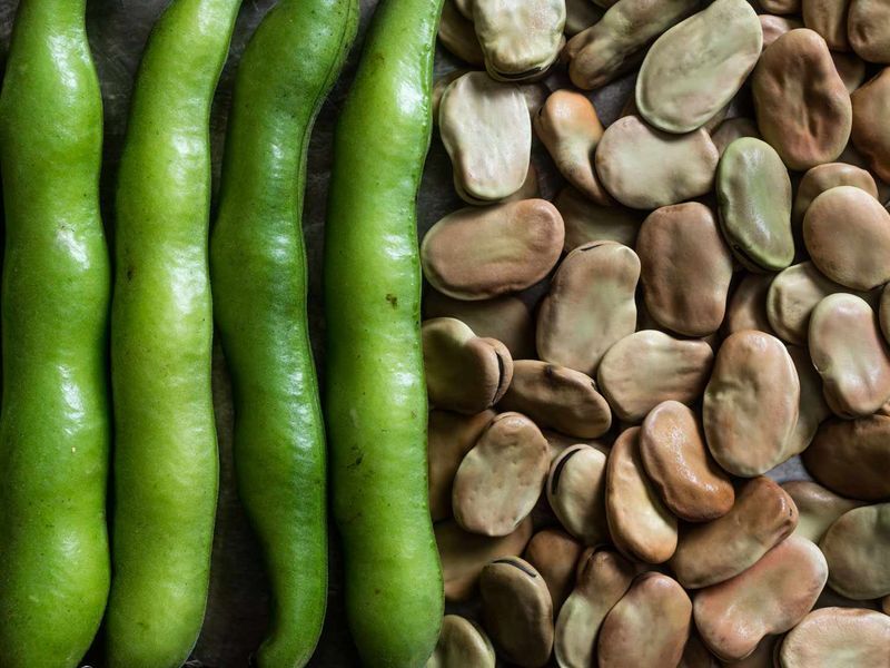 17 Things To Know About Shell Beans And The Best Way To Store Them Properly