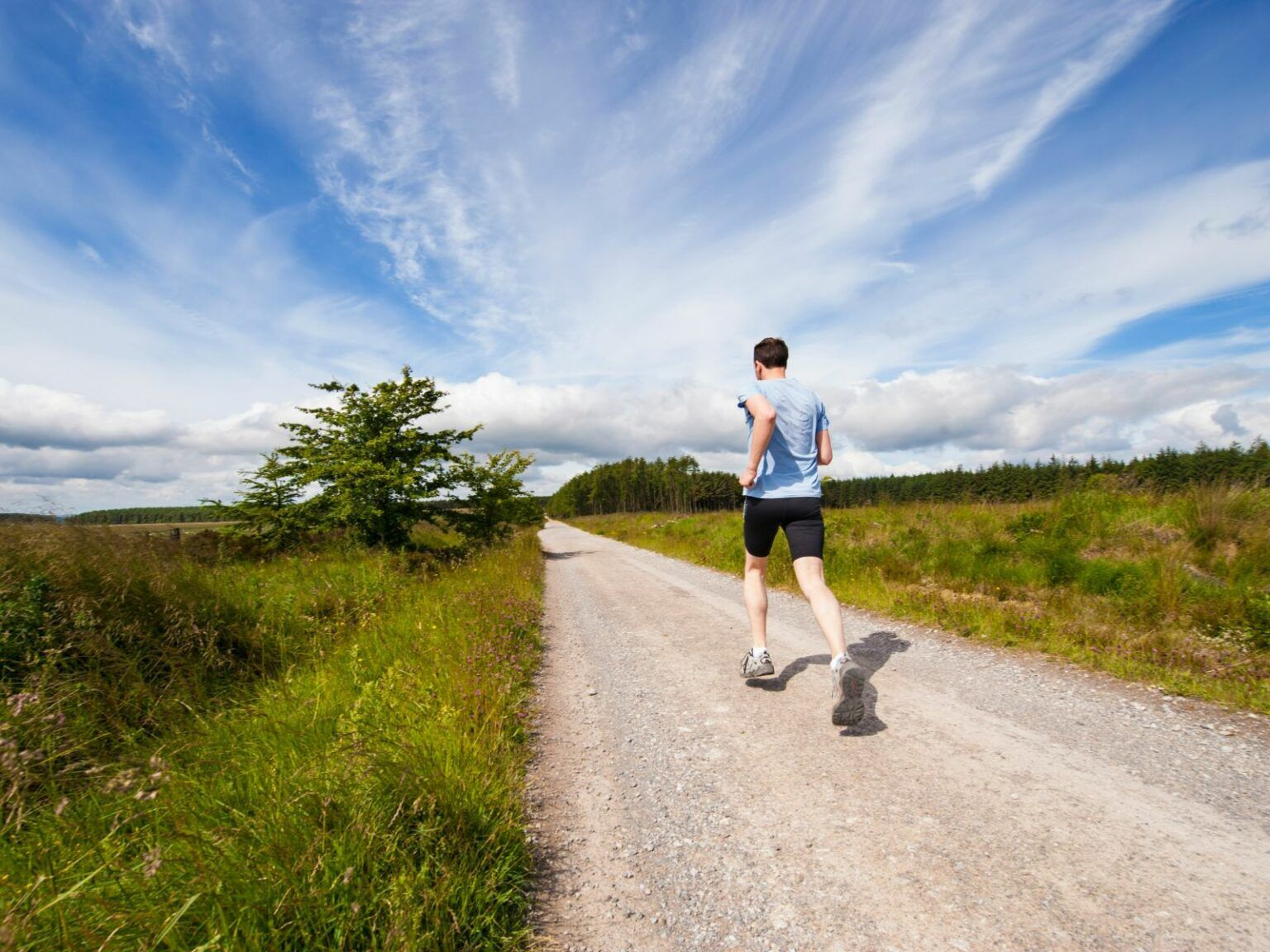 Why Do I Have No Energy? Here Are 10 Tips to Combat Lethargy