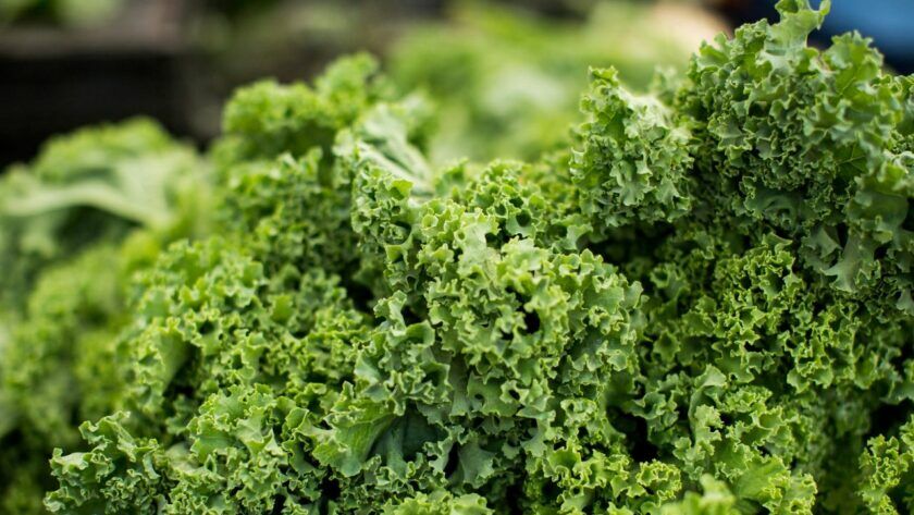 19 Best Plant Protein Sources, and Why You Should Eat Them