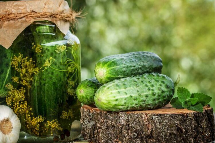 Make Crisp, Flavor-Packed Pickles At Home With Just 3 Simple Ingredients