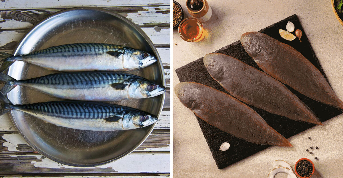 The 15 Healthiest Fish For Your Diet, From Good To Superfood