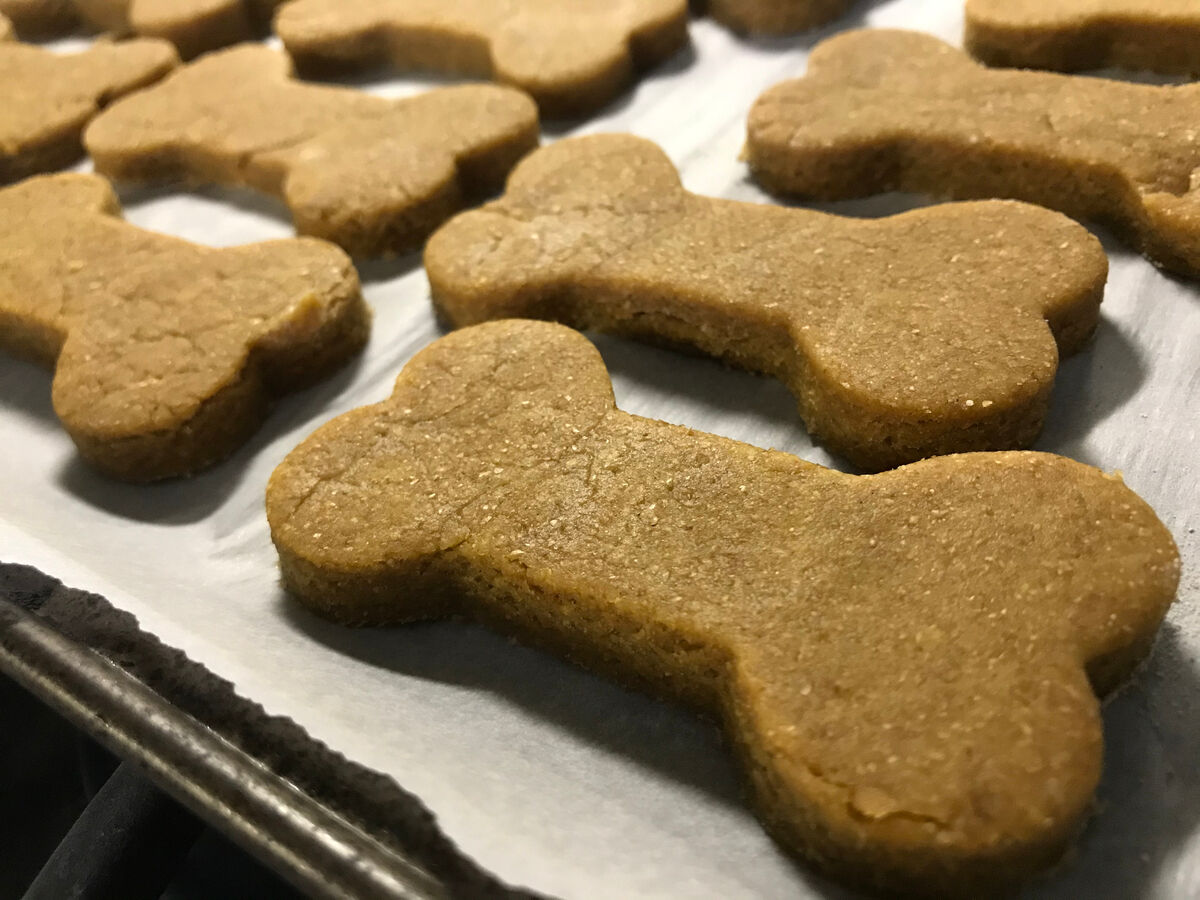 Healthy Dog Treat Recipes Your Best Friend Will Love