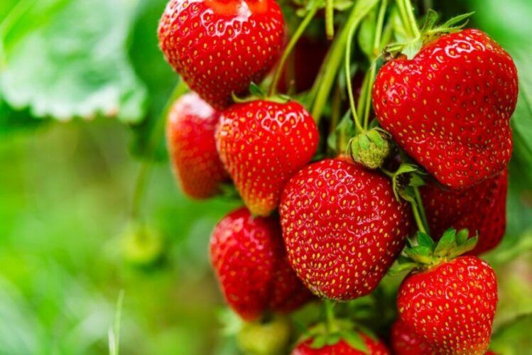 20 Nourishing Foods That Might Help Soothe And Hydrate Dry Skin