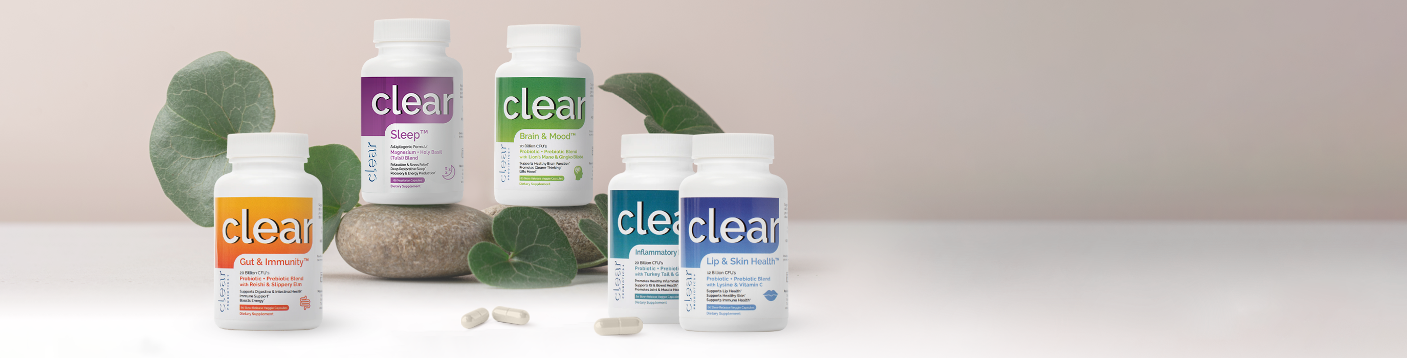 Wellness – Wellzy Perks